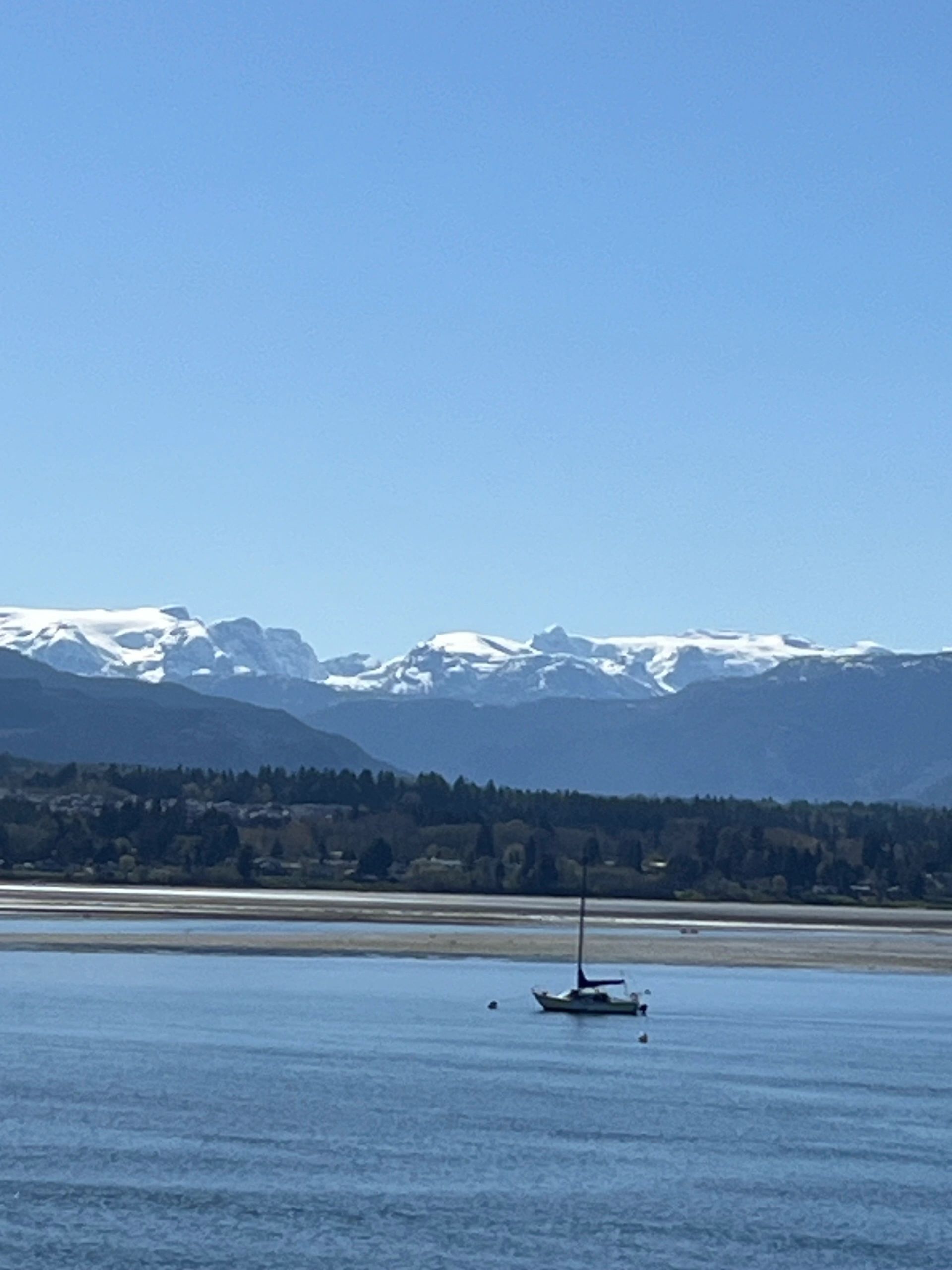 Dan Boyko Insurance Agent